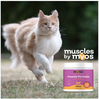 MYOS Muscle supplement for Dogs and Cats – DOGsAGE