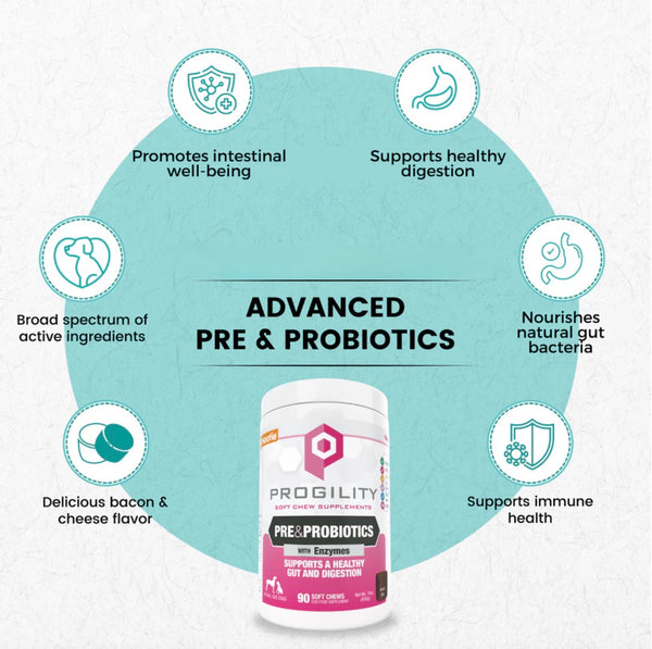 Progility Pre Probiotics Soft Chew – DOGsAGE