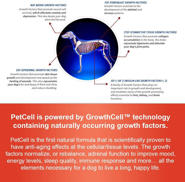 Pet Cell – DOGsAGE